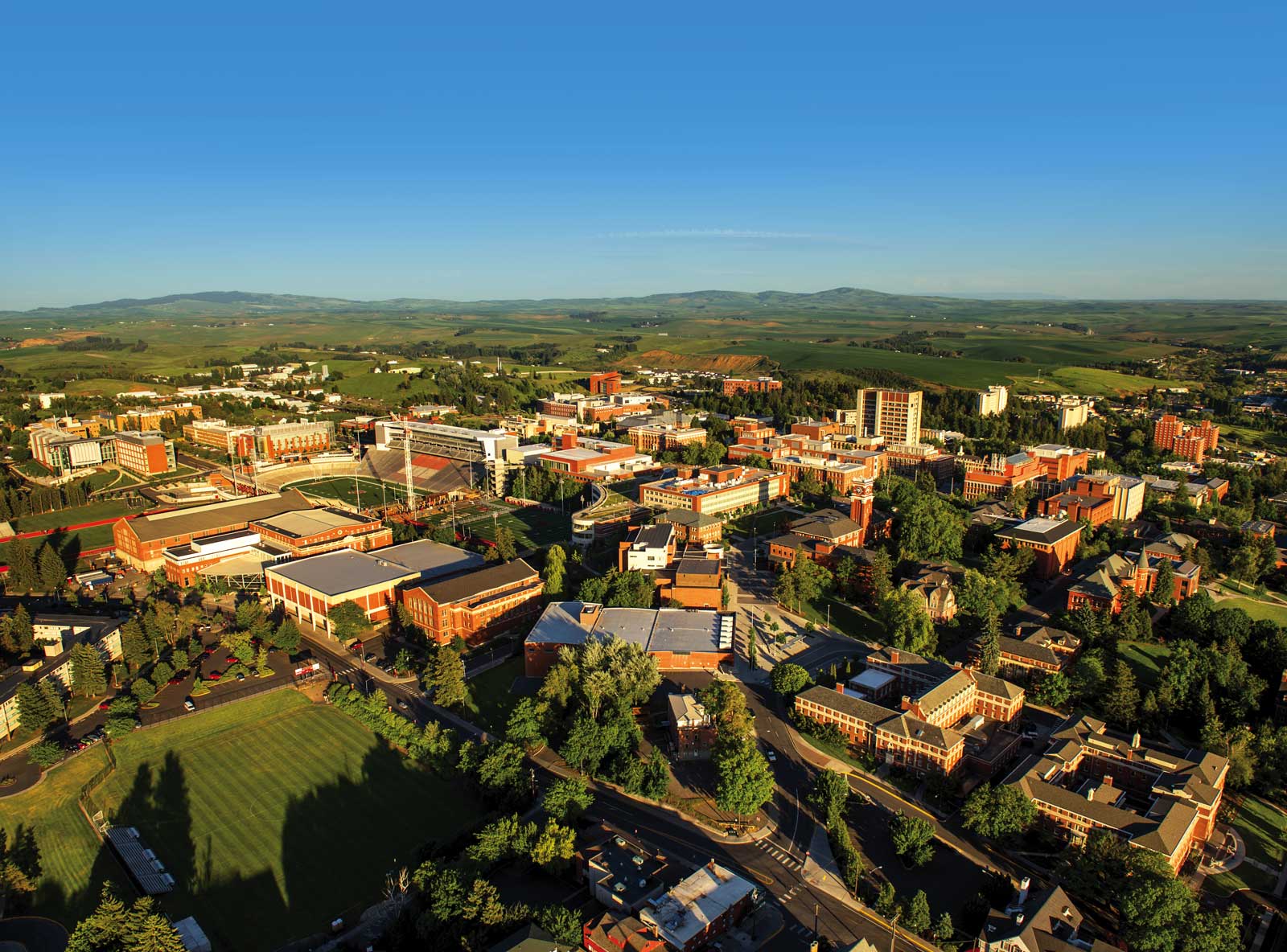 Transfer Pullman | Washington State University