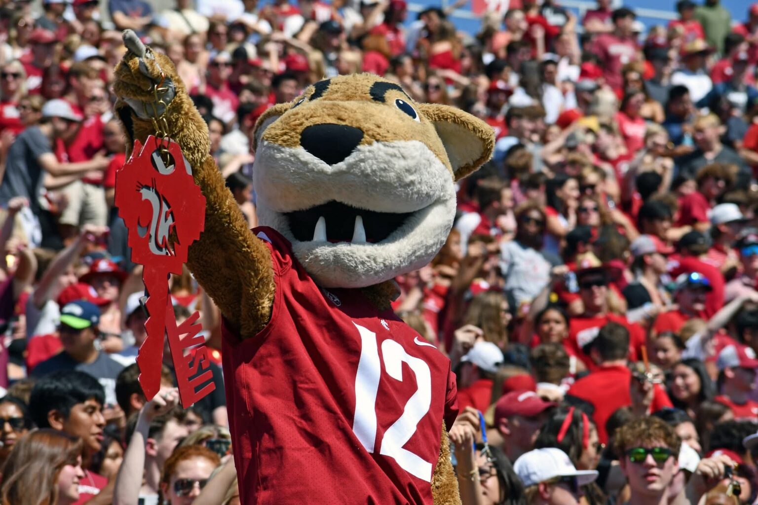 WSU Gameday Weekends | Washington State University