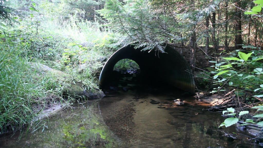 Forest infrastructure: Preparing for Future Needs | Agriculture Climate ...