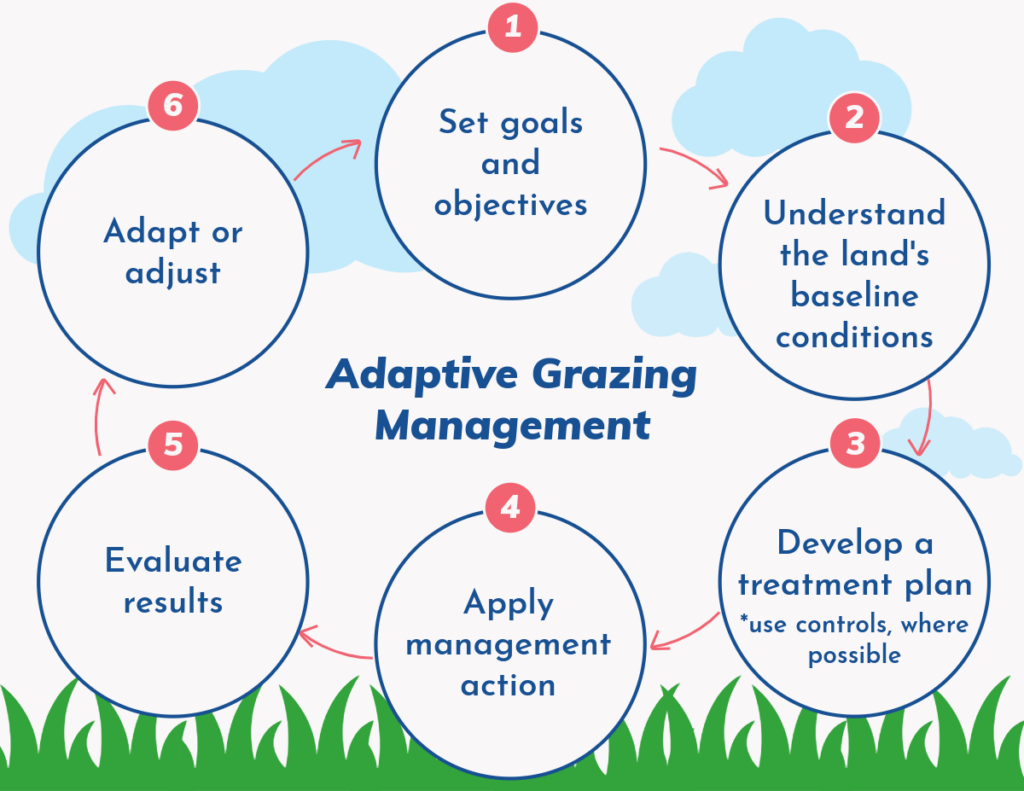 Check It Out: Adaptive Grazing Management | Agriculture Climate Network ...