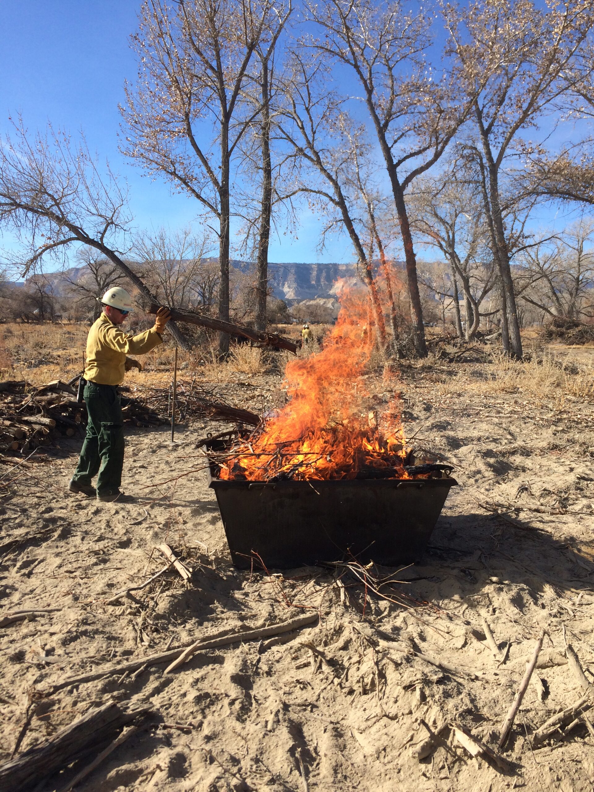 Biochar and Forestry | Agriculture Climate Network | Washington State ...