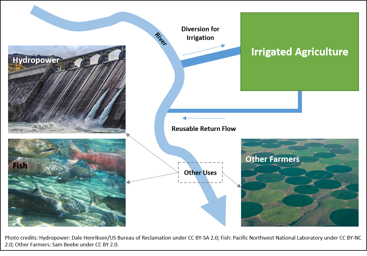 Irrigation Efficiency: What Do the Researchers Say? | Agriculture ...