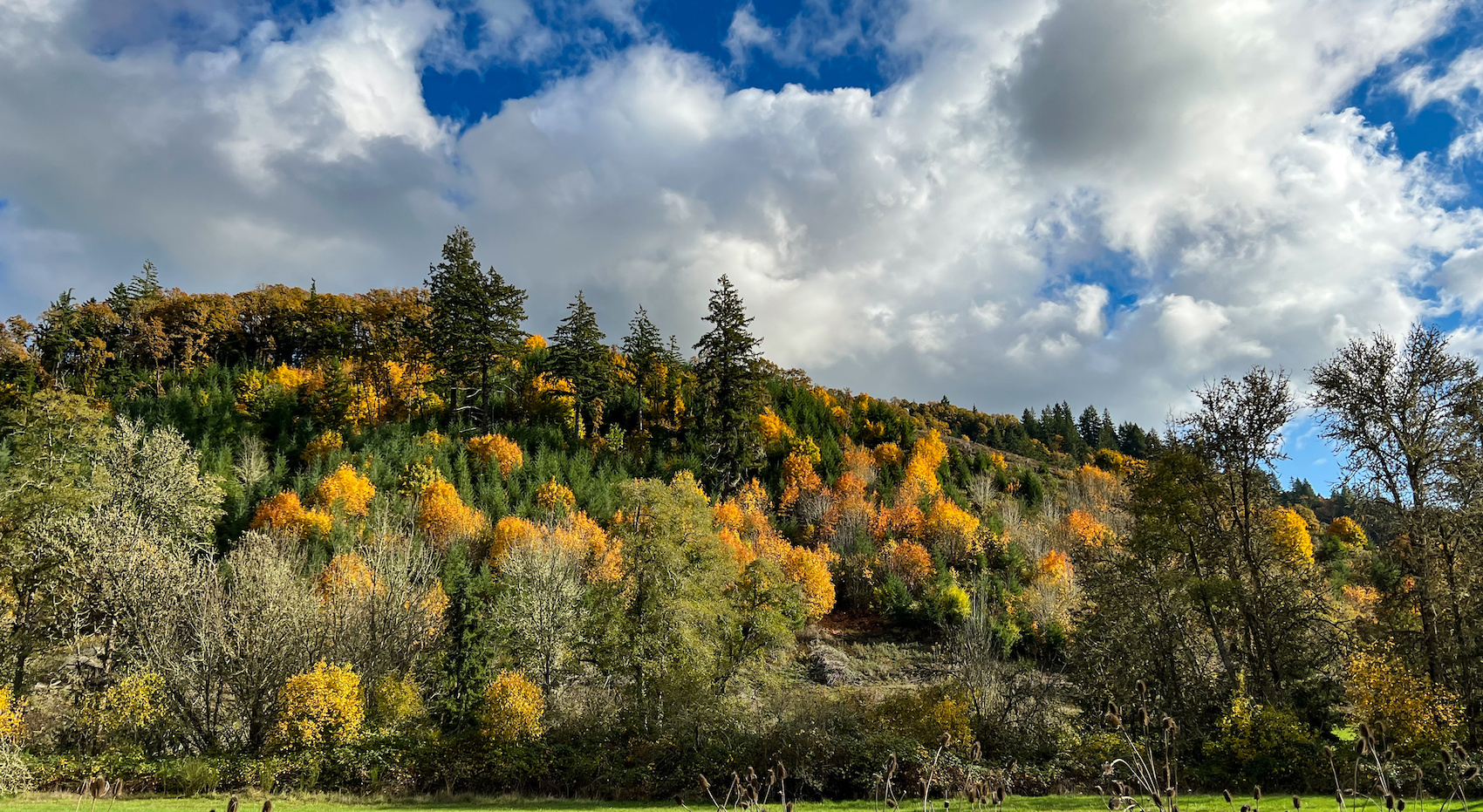 Two Frameworks to Help with Climate Adaptation | Agriculture Climate ...