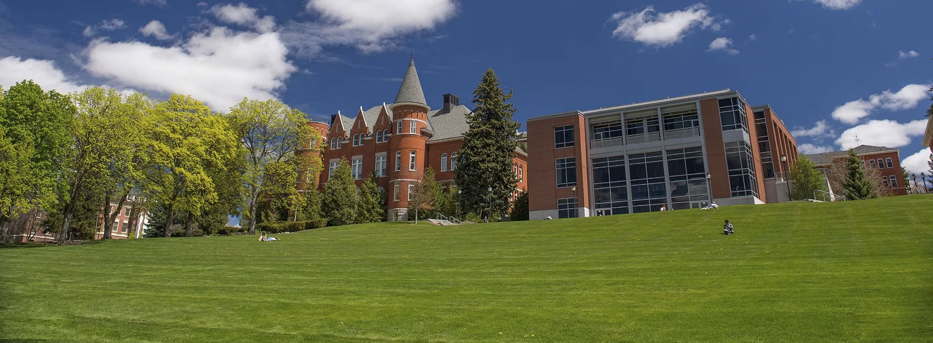 MBA Admissions Requirements - Online MBA & Executive MBA