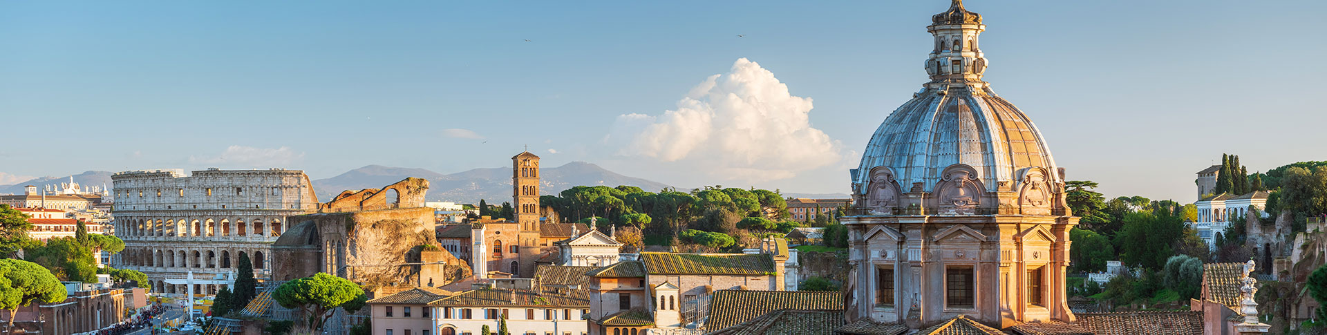 Executive MBA International Field Study - Online MBA & Executive MBA