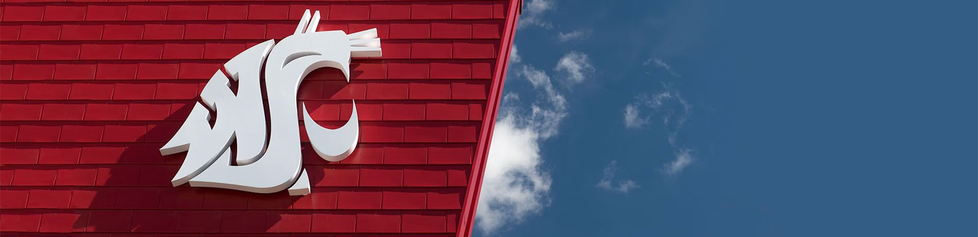 Online MBA Faculty - Online MBA & Executive MBA