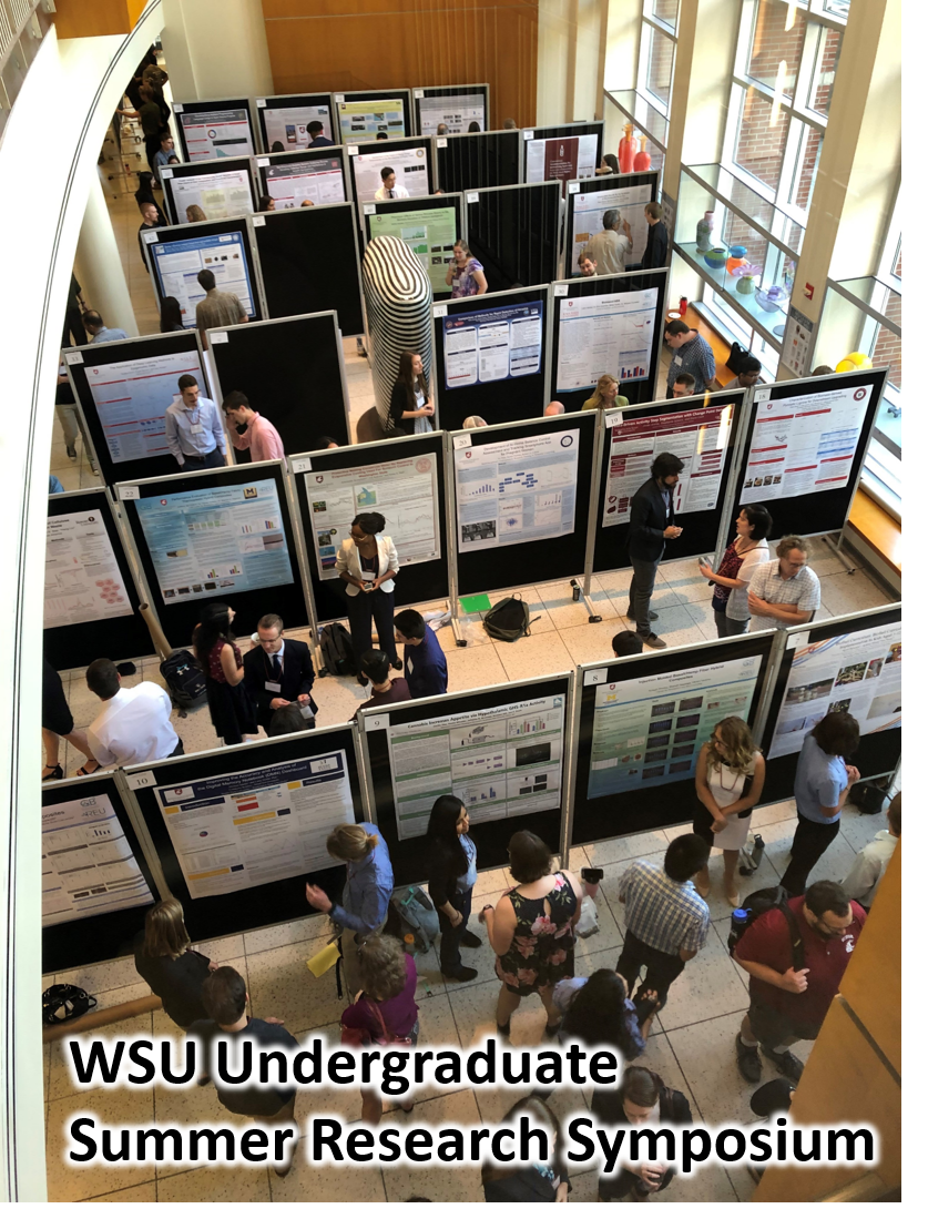 Research Experiences for Undergraduates (REU) | Department of Physics ...