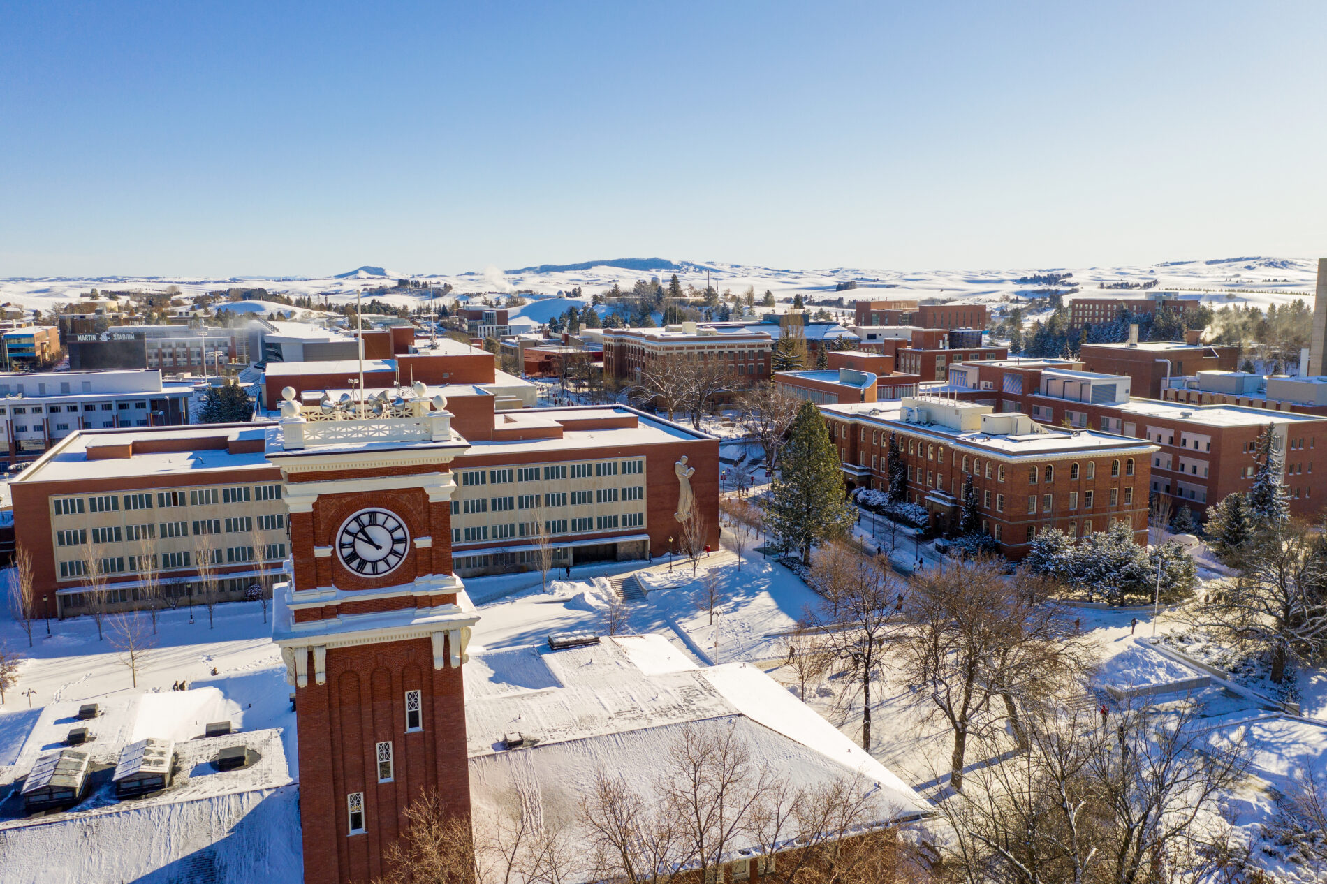 Sociology News | Washington State University