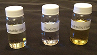 Biodegradable hydraulic fluid shown at WSU innovation fair | College of ...