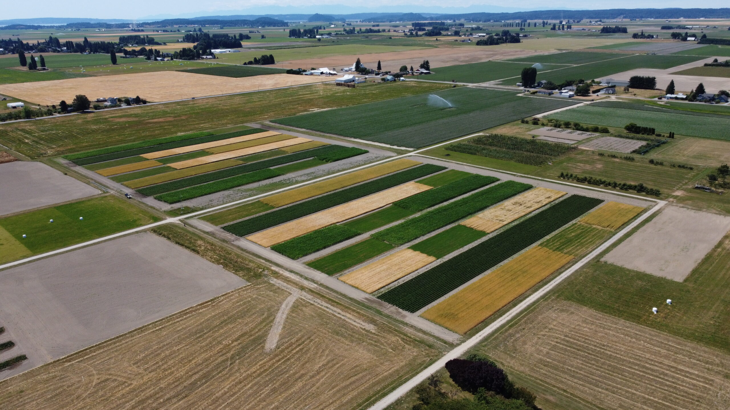 A focus on soil health in Northwestern Washington | Soil Health ...