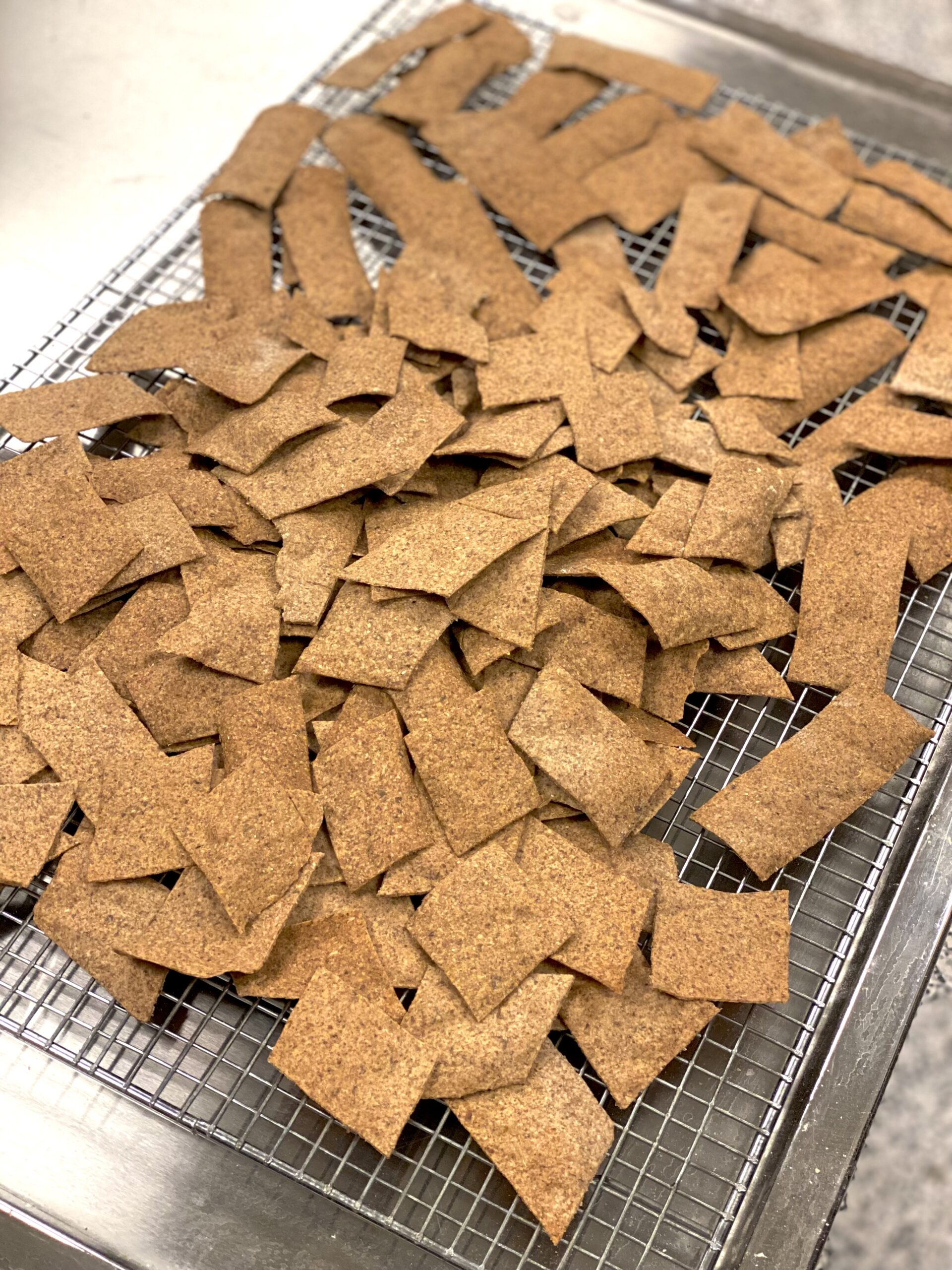 Sourdough Crackers | WSU Breadlab | Washington State University