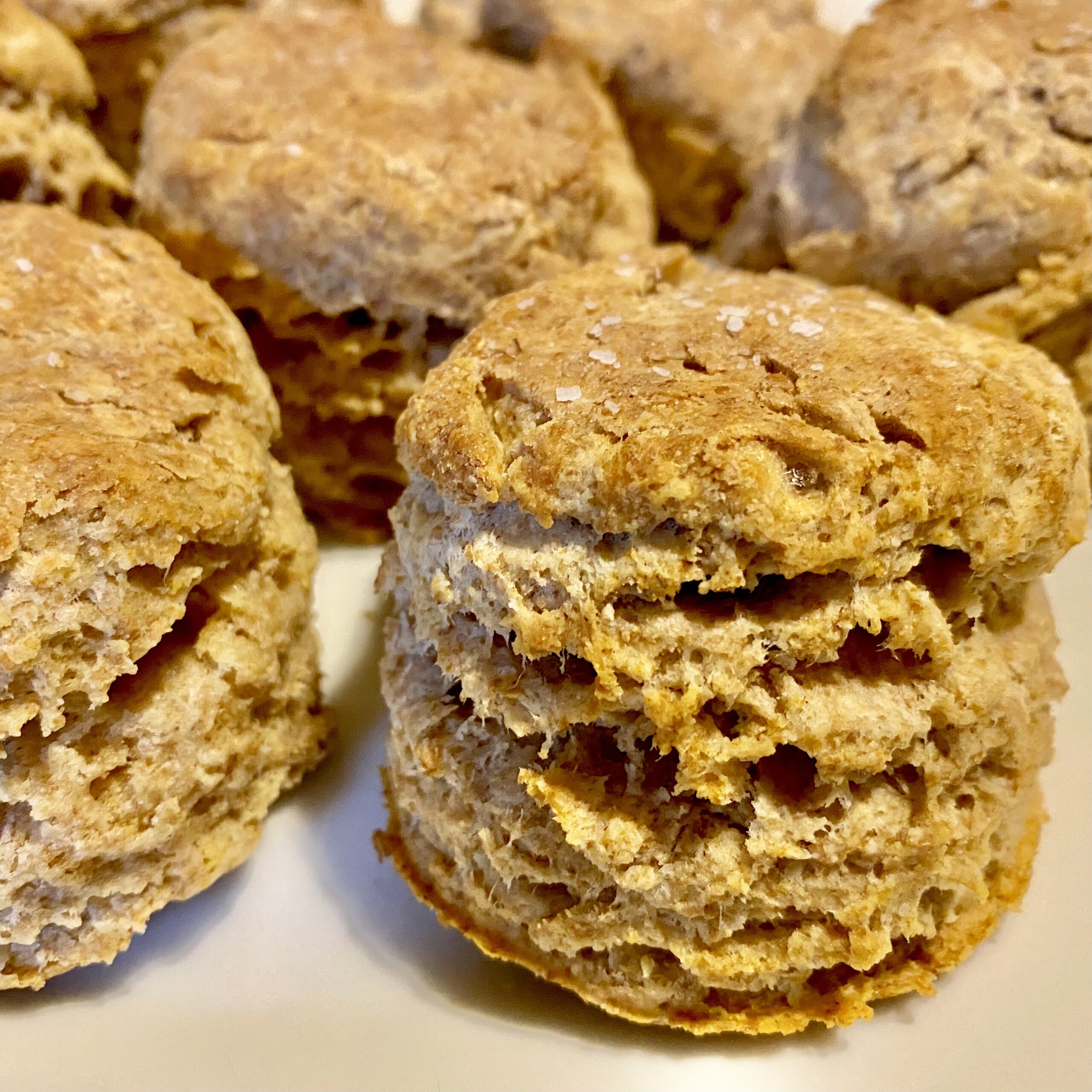 Biscuits | WSU Breadlab | Washington State University