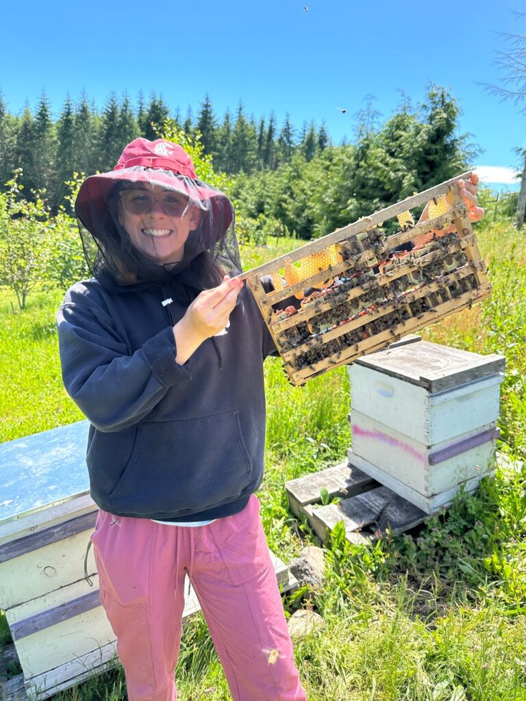 August 2024 | WSU Honey Bees + Pollinators Program | Washington State ...