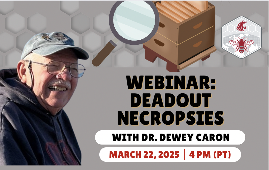 Webinar: Deadout Necropsies | WSU Honey Bees + Pollinators Program ...