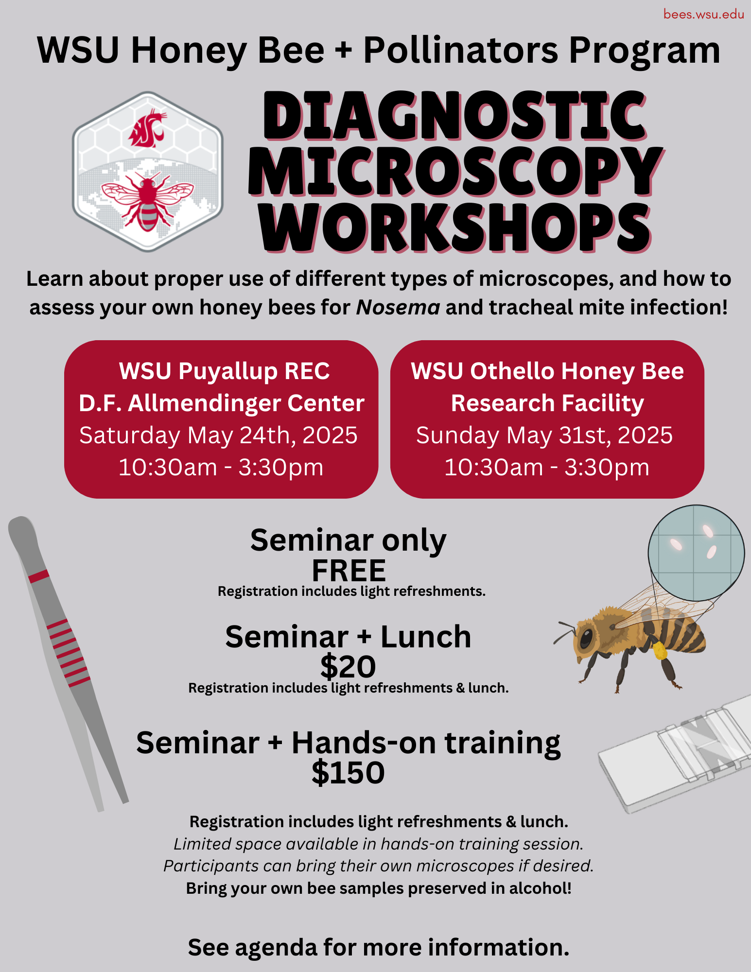 WSU Honey Bees + Pollinators Program | Washington State University