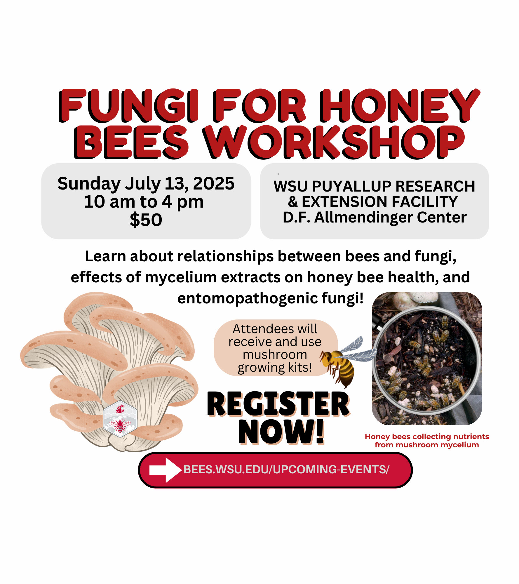 2025 Fungi for Honey Bees Workshop | WSU Honey Bees + Pollinators Program | Washington State ...