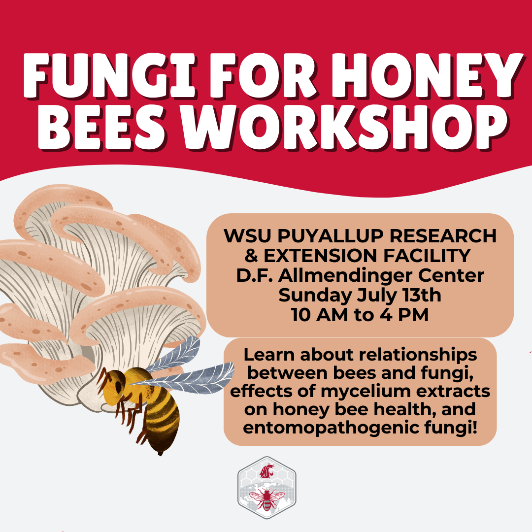 2025 Fungi For Honey Bees Workshop – Registration Closed | WSU Honey ...