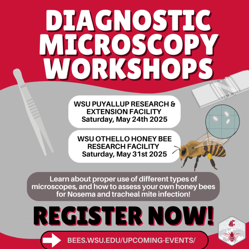 March 2025 | WSU Honey Bees + Pollinators Program | Washington State ...