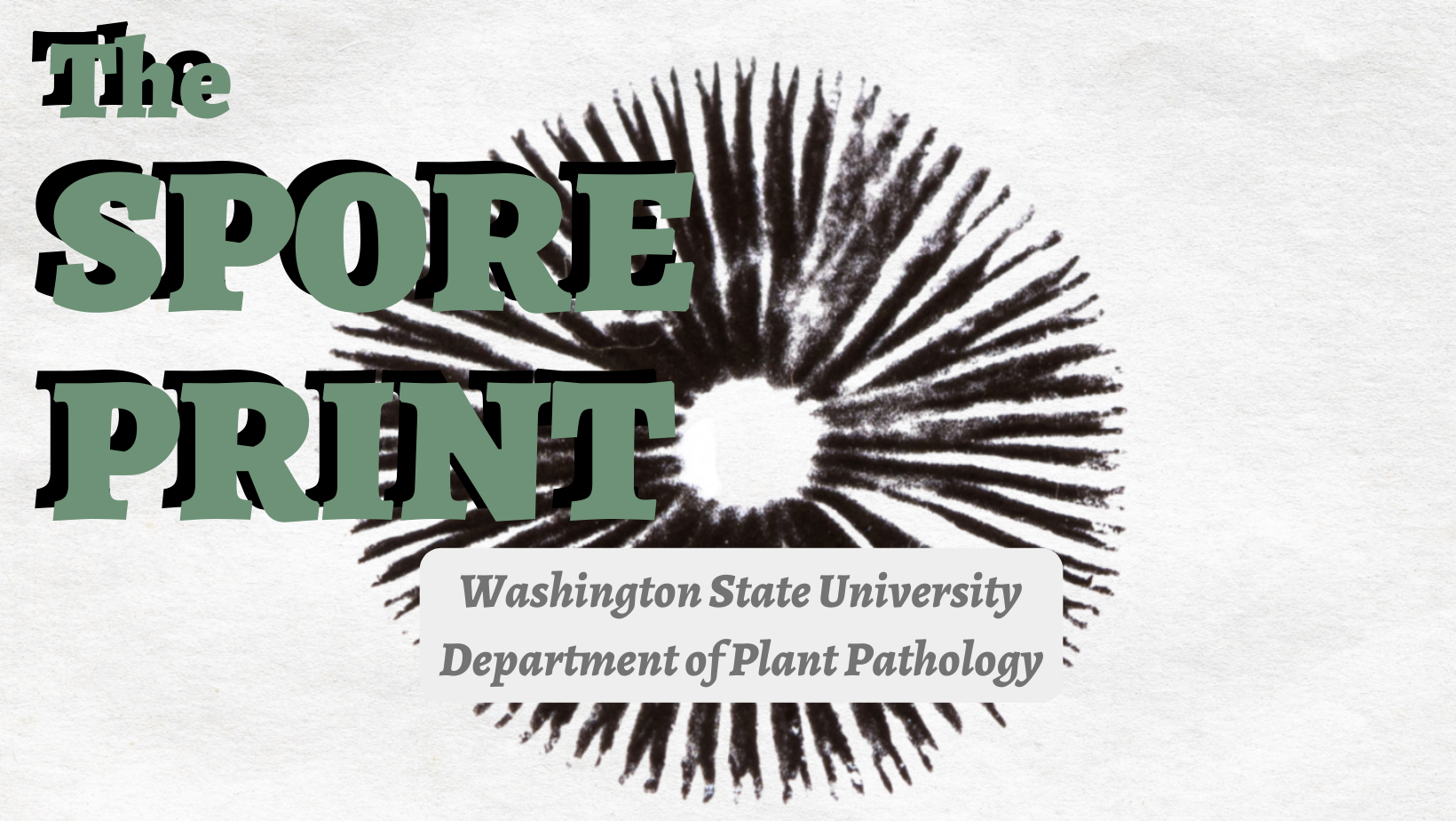 The Spore Print — WSU Department of Plant Pathology Newsletters | Department of Plant Pathology ...