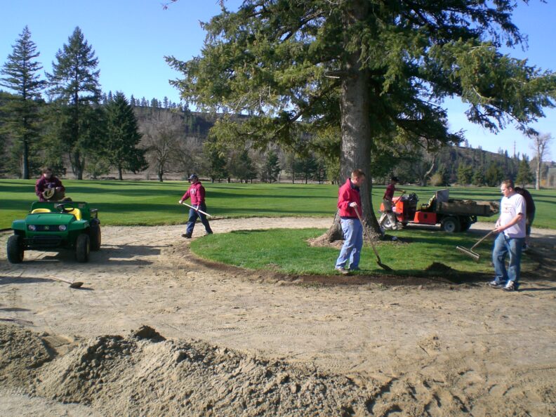 Turf Management | Washington State University
