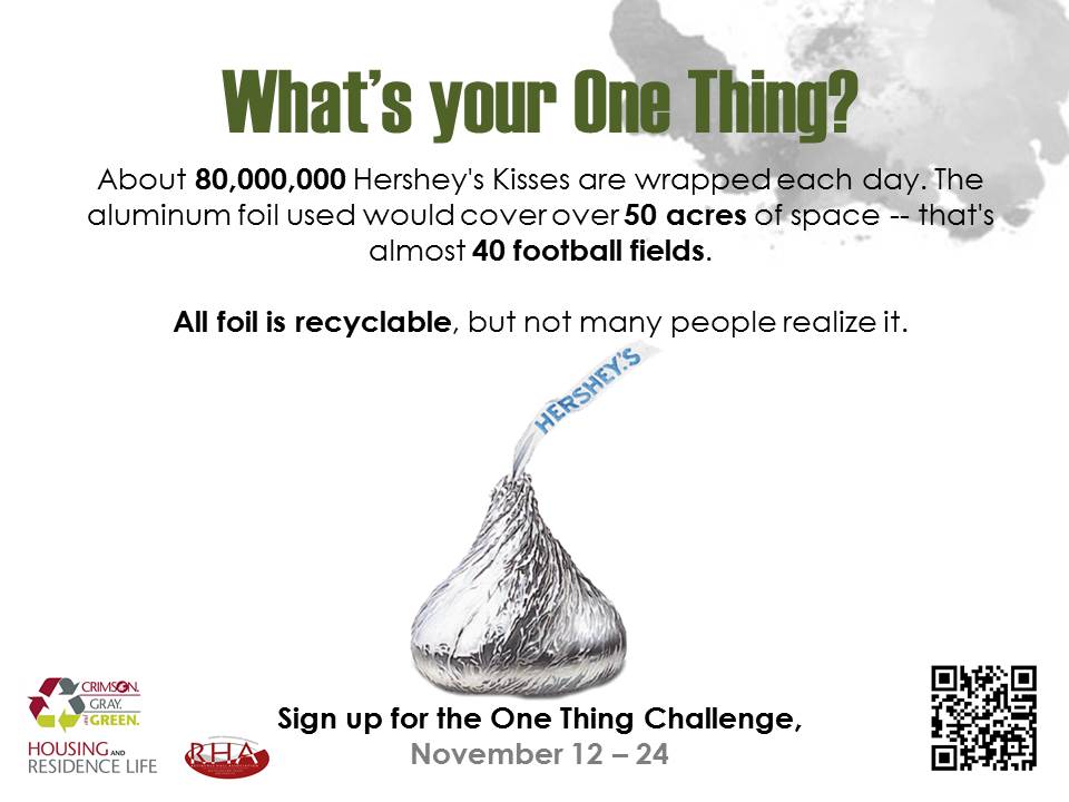 One Thing Challenge (Garbology) | Common Reading Program | Washington ...