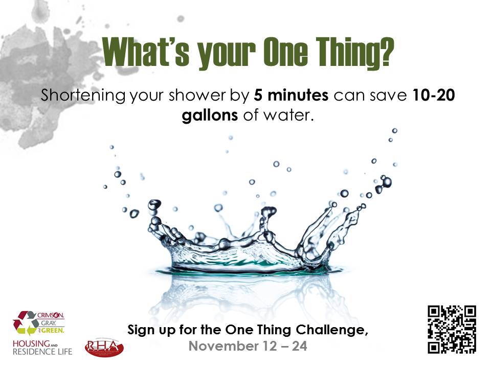 One Thing Challenge (Garbology) | Common Reading Program | Washington ...