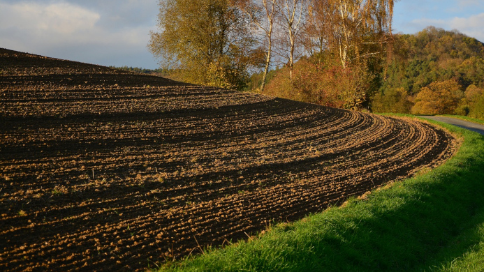 About SURCA | Showcase for Undergraduate Research and Creative ...