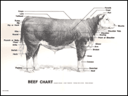 Beef Chart | WSU Extension Publications | Washington State University