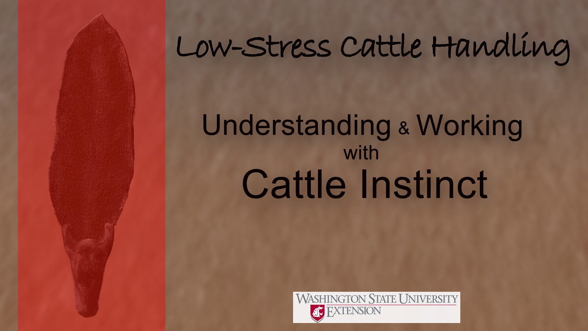 Low-Stress Cattle Handling: Understanding and Working with Cattle ...