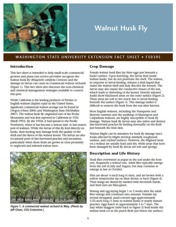 Walnut Husk Fly | WSU Extension Publications | Washington State University