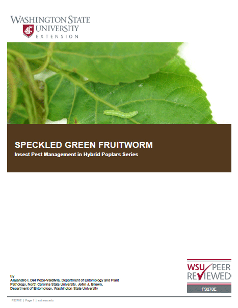 Speckled green fruitworm: Insect Pest Management in Hybrid Poplars ...