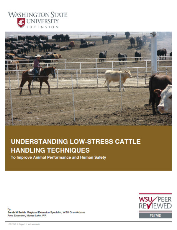 Understanding Low-Stress Cattle Handling Techniques to Improve Animal ...