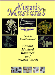 Mustards in Mustards: Guide to the Identification of Canola, Mustard ...