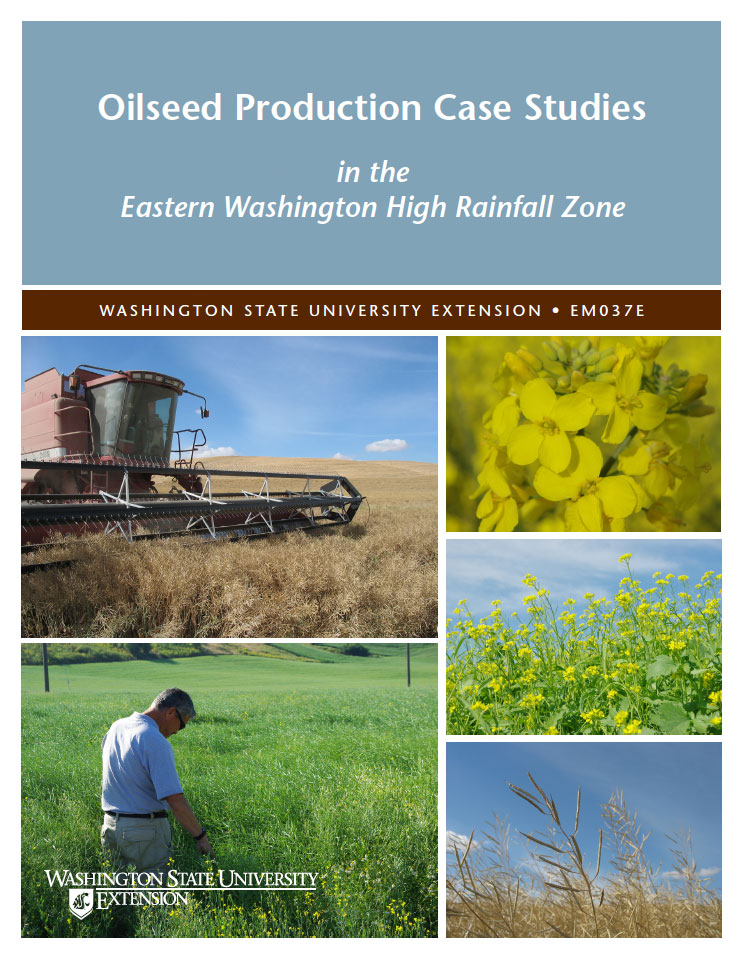 Oilseed Production Case Studies in the Eastern Washington High Rainfall Zone | WSU Extension ...