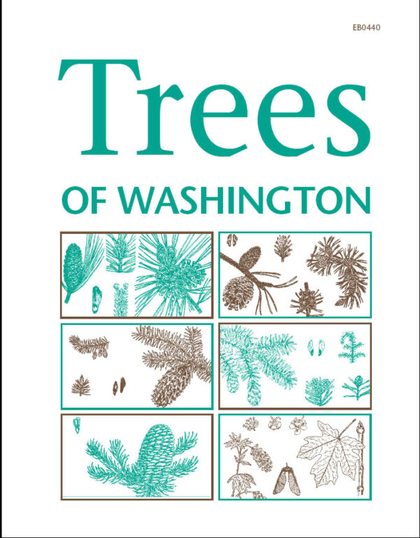 Trees of Washington | WSU Extension Publications | Washington State ...
