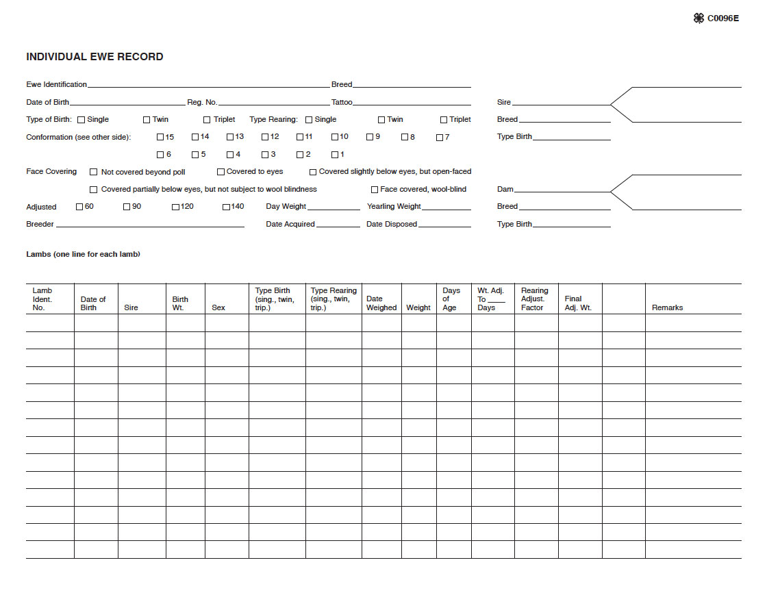 Individual Ewe Record | WSU Extension Publications | Washington State ...