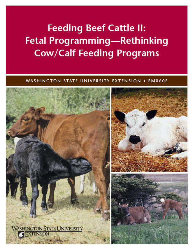 Feeding Beef Cattle II: Fetal Programming–Rethinking Cow/Calf Feeding ...