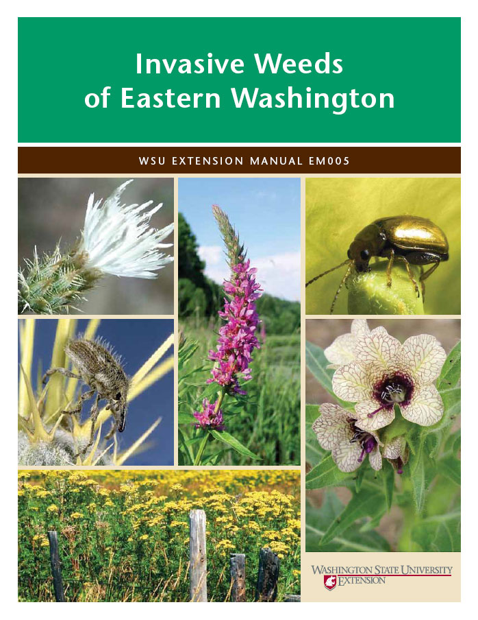 Invasive Weeds of Eastern Washington | WSU Extension Publications ...