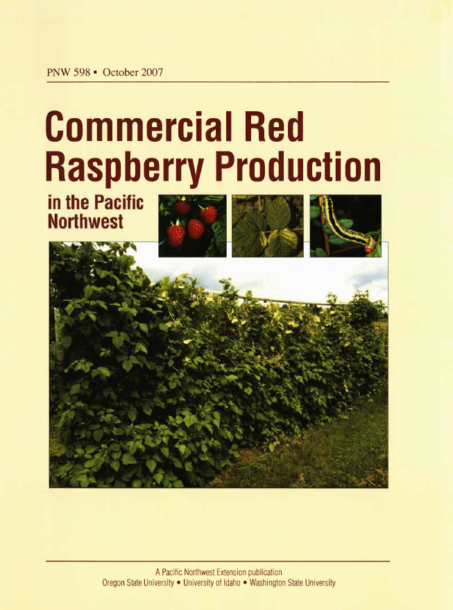 Commercial Red Raspberry Production in the Pacific Northwest | WSU ...
