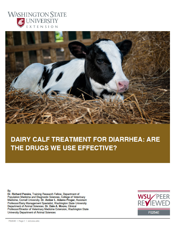 Dairy Calf Treatment for Diarrhea: Are the Drugs We Use Effective ...