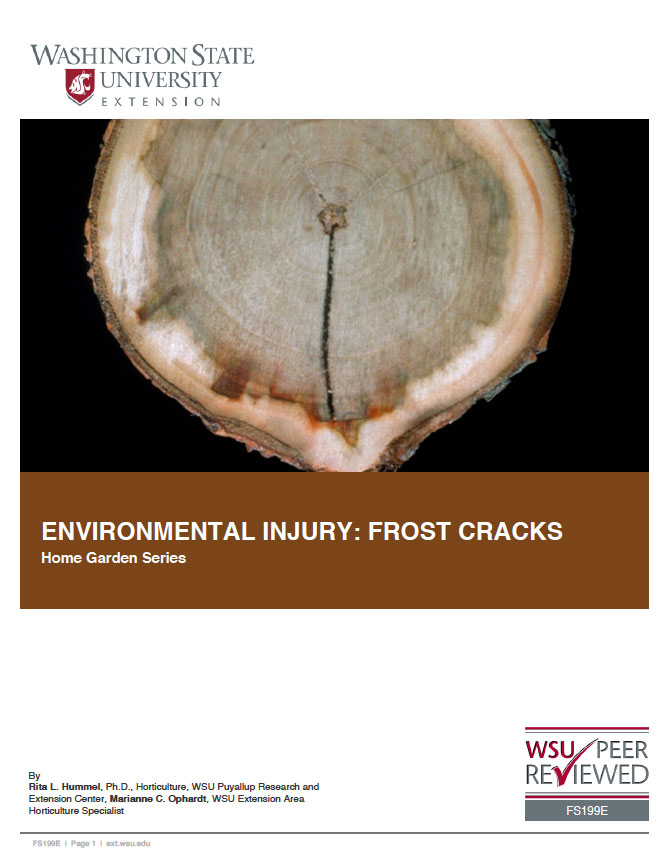 Environmental Injury: Frost Cracks (Home Garden Series) | WSU Extension ...