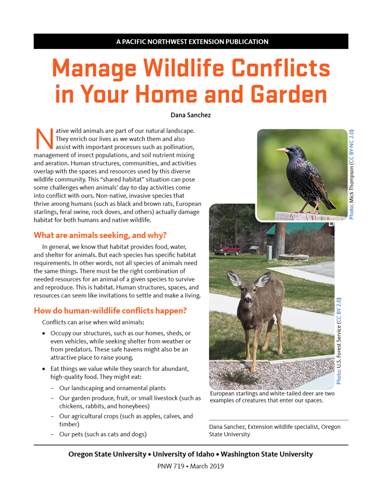 Manage Wildlife Conflicts in Your Home and Garden | WSU Extension ...