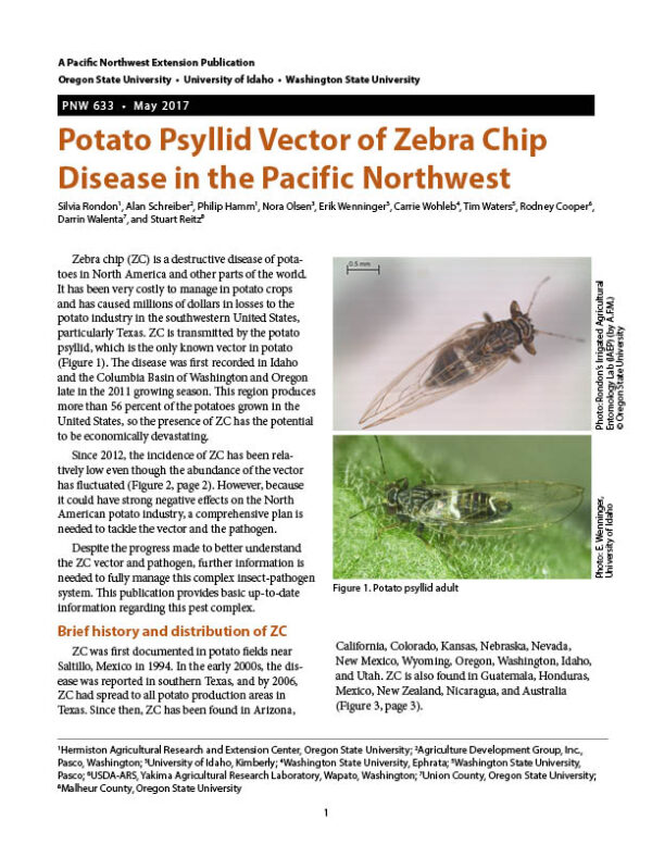 Potato Psyllid Vector of Zebra Chip Disease in the Pacific Northwest ...