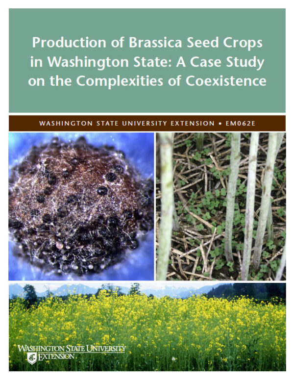 Production of Brassica Seed Crops in Washington State: A Case Study on ...