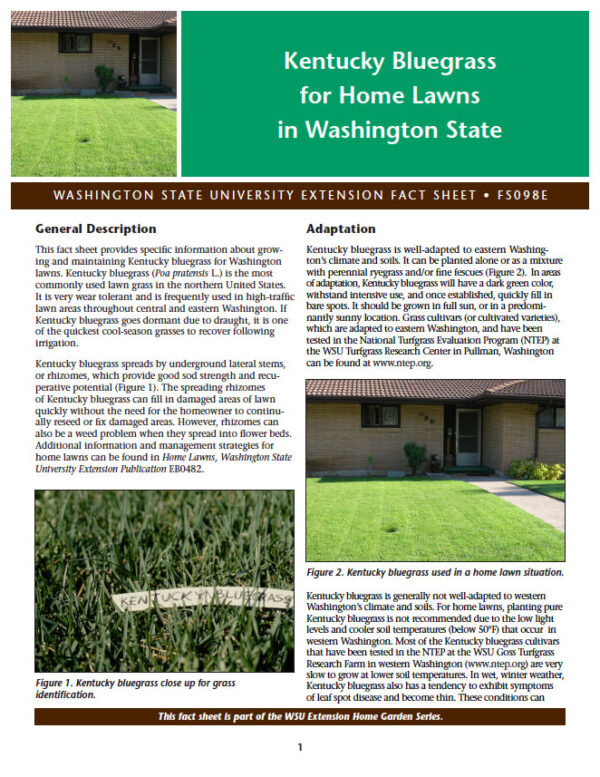 Kentucky Bluegrass for Use in Home Lawns in Washington (Home Garden ...