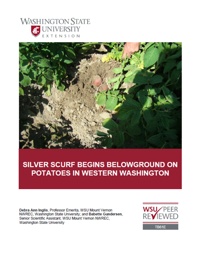 Silver Scurf Begins Belowground on Potatoes in Western Washington | WSU ...