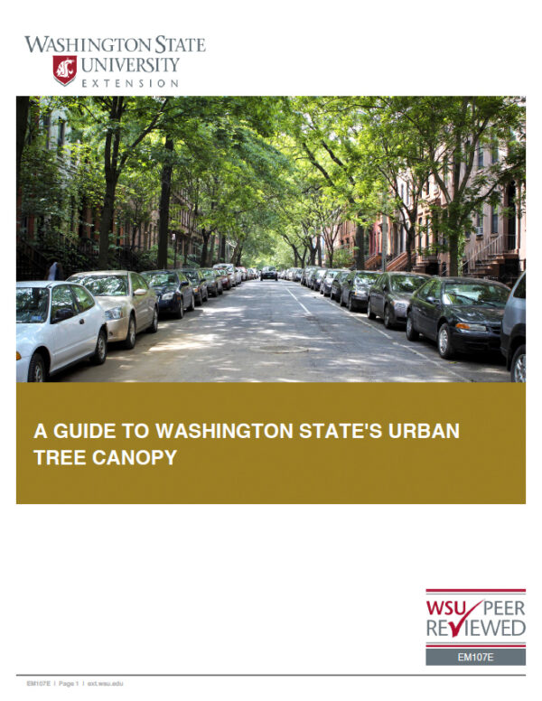 A Guide to Washington State’s Urban Tree Canopy | WSU Extension ...