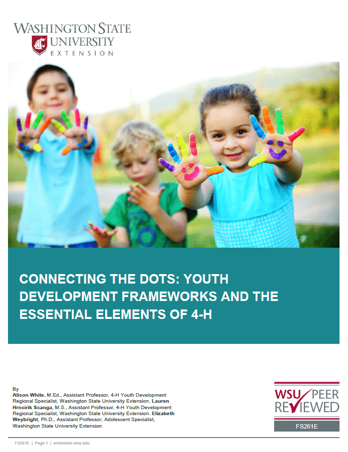 Connecting the Dots: Youth Development Framework and the Essential ...