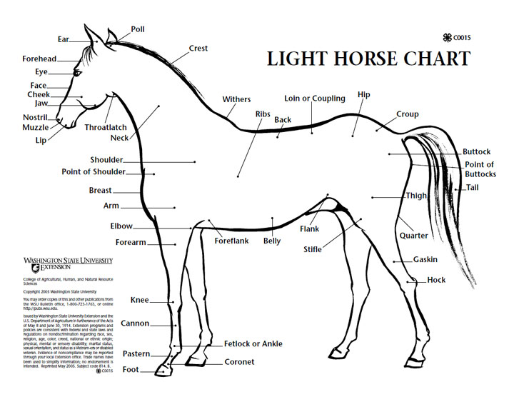 Light Horse Chart | WSU Extension Publications | Washington State ...