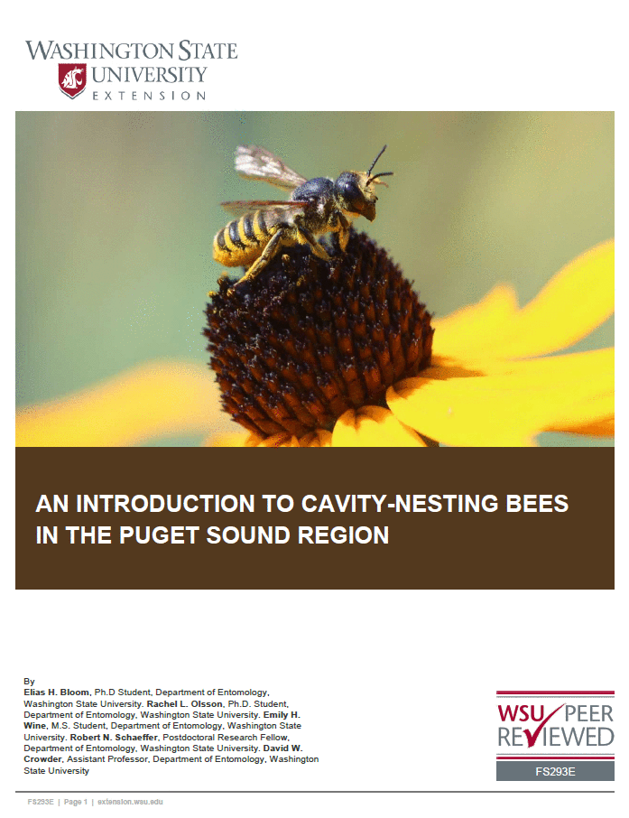 An Introduction to Cavity-Nesting Bees in the Puget Sound Region (Home ...